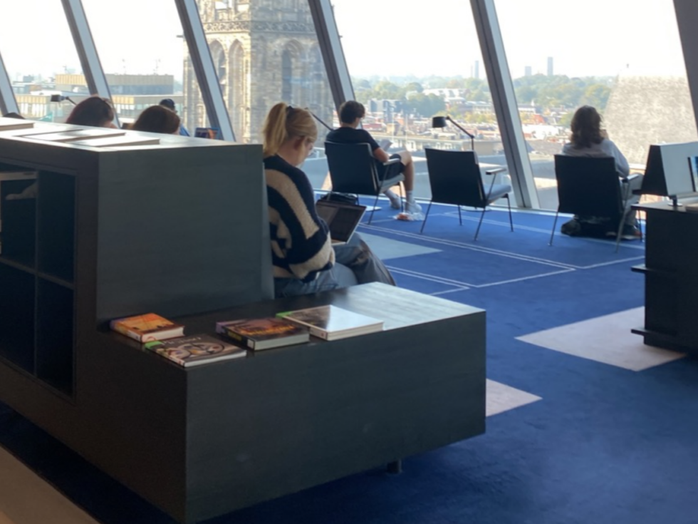 Development of the CircEUlar online tool: Practical challenges ...